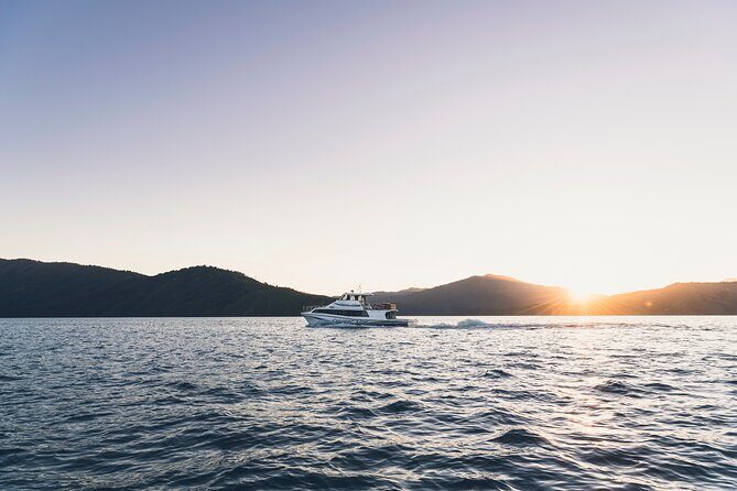 3.5 Hour Marlborough Sounds Delivery Cruise - Summary
