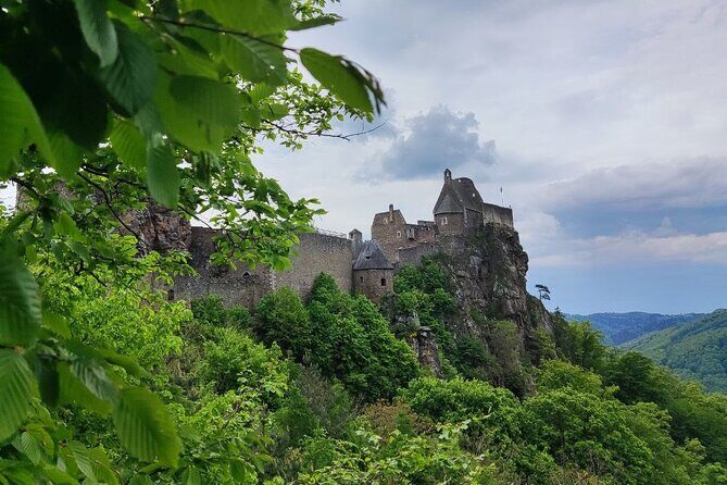 3 Castles and Wine Private Day Trip in Danube Valley from Vienna - How is the transportation and group size?