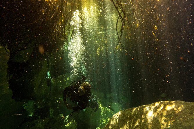 3 Cenote Dives - Casa & Dos Ojos - The Experience From the Reviews