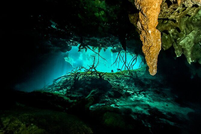 3 Cenote Dives - Casa & Dos Ojos - Final Thoughts: Why This Tour Is a Worthwhile Investment