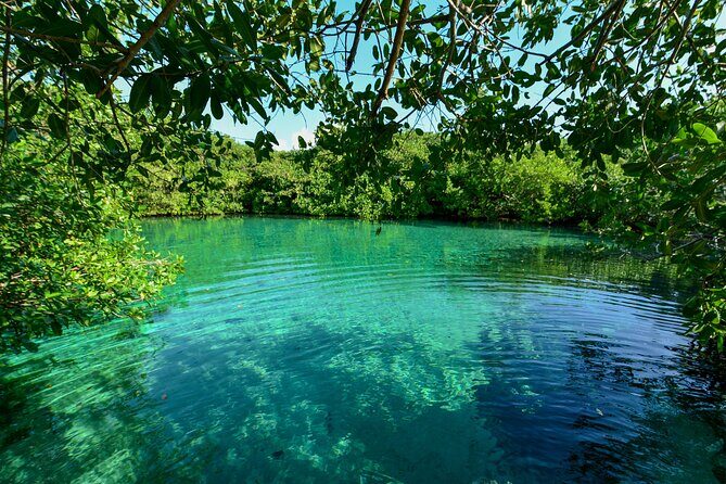 3 Cenote Dives - Casa & Dos Ojos - FAQ