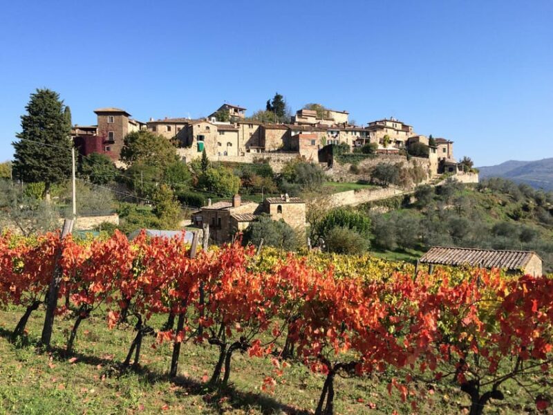 3 Chianti Wineries Private Tour from Florence or Siena - Who Should Book This Tour?