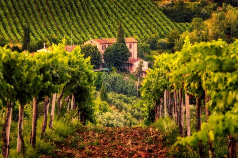 3 Chianti Wineries Private Tour from Florence or Siena - FAQ