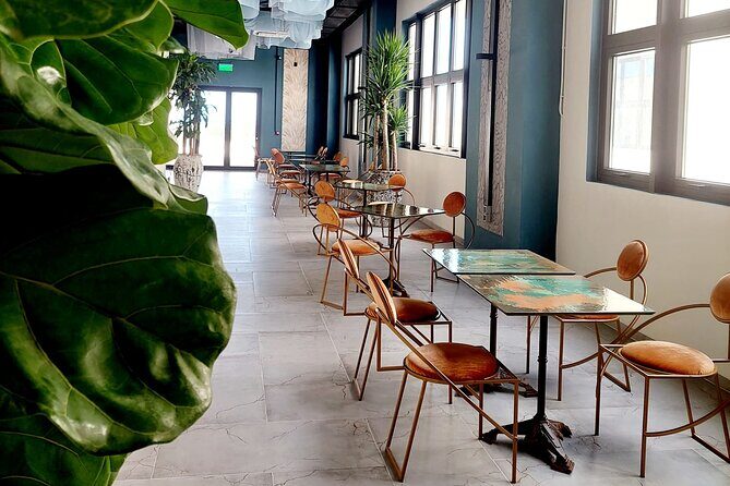 3 Course Caribbean Fine Dining - Dinner & City Tour at Night - Final Thoughts: Who Will Love This Tour?