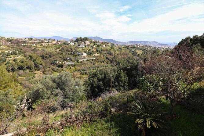 3-Course Organic Dinner in Garden with Views of French Riviera - Who Should Book This Experience?