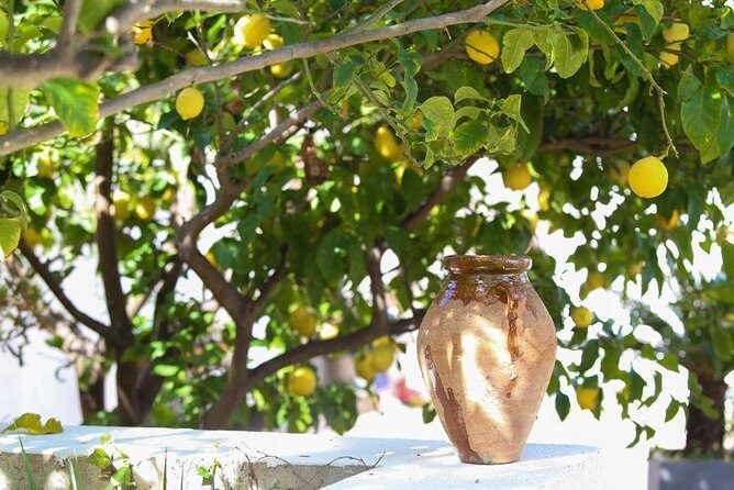 3-Course Organic Dinner in Garden with Views of French Riviera - FAQs