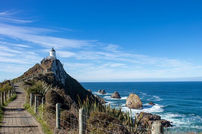 3 Day 2 Night New Zealands South Southern Highlights Tour - What Makes This Tour Stand Out