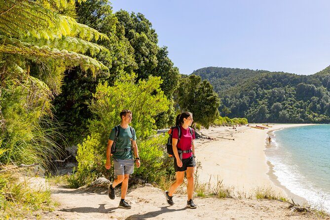 3 Day Abel Tasman Guided Walk - Who Should Consider This Tour?