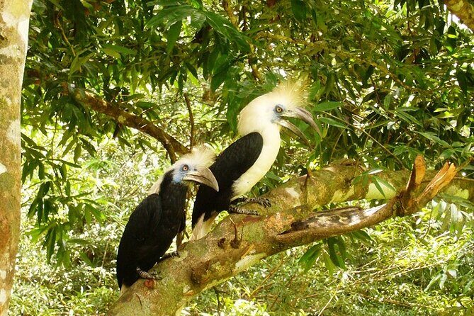 3-Day Adventure in Tabin Wildlife Reserve - Practical Details: How It Works