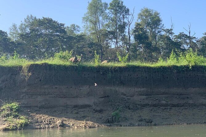 3-Day All Inclusive Chitwan Jungle Safari Tour From Kathmandu - Who That’s Perfect For