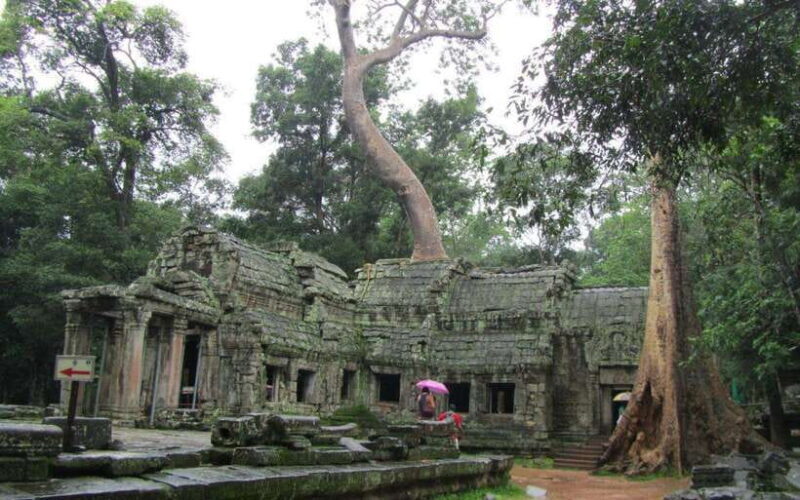3-Day Angkor, Kompong Phluk & Roluos Temples Tour - What Does the Tour Mean for Travelers?