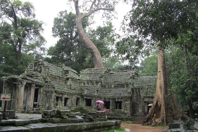 3-Day Angkor, Lake-side Village & Roluos Temples Tour - What Our Reviews Say