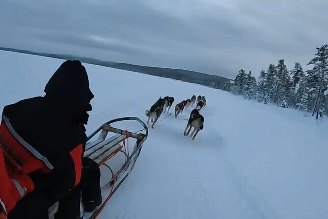 3-Day Aurora Viewing Tour from Whitehorse Canada - The Price and Its Value