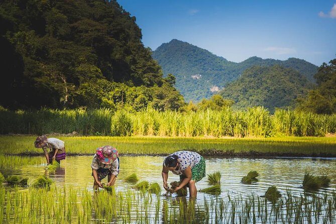 3-Day Ba Be Lake Discovery Private Tour - Final Thoughts