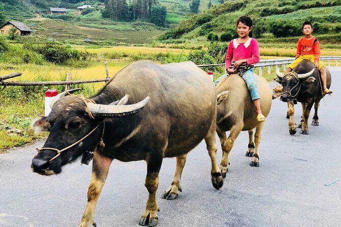 3 Day Bac Ha and Ban Phung Motorbike Tour from Sapa - Key Points