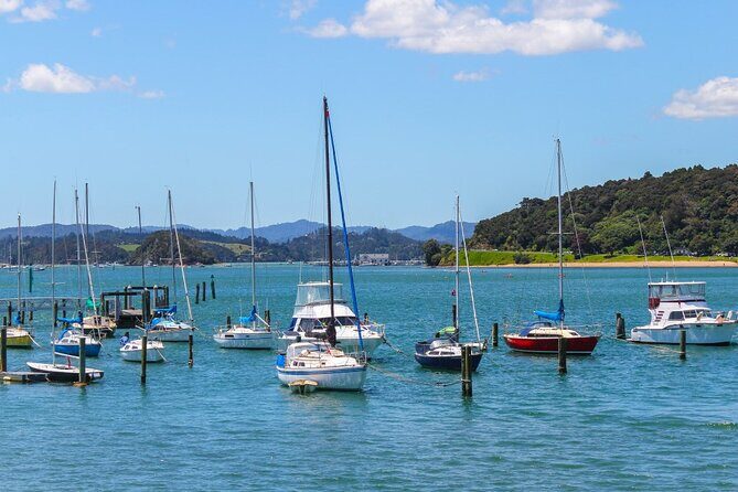 3 Day Bay Of Islands Winter Tour from Auckland - Who Should Consider This Tour?