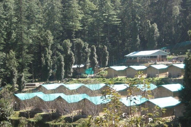 3 Day Camping Trip to Binsar Wildlife Sanctuary - Is It Worth the Price?