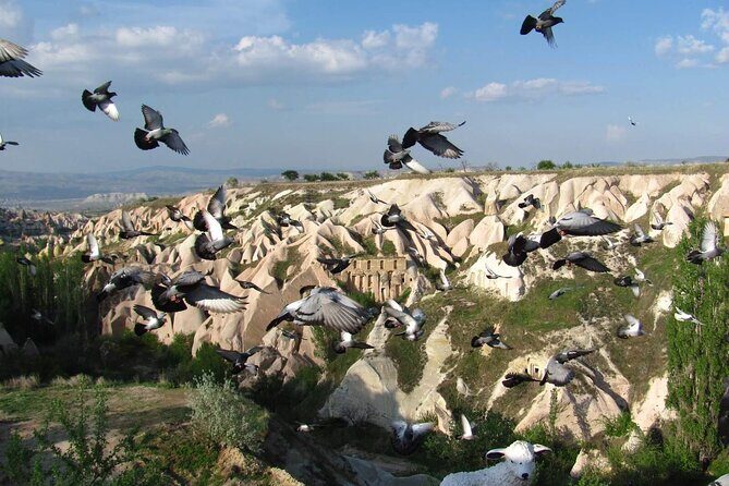 3-Day Cappadocia Trip Including Hot Air Balloon Ride & Camel Ride - Final Thoughts: Is It Worth It?