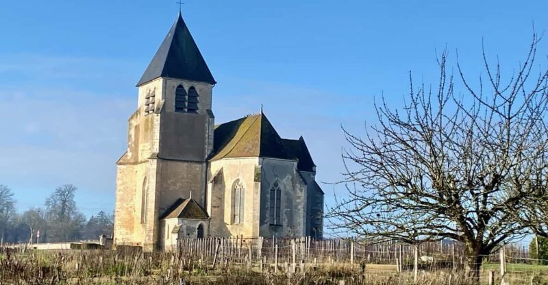 3-Day Castles, Champagne & Chablis Wine tasting Private Tour - The Hands-On Experience: What Makes It Stand Out?