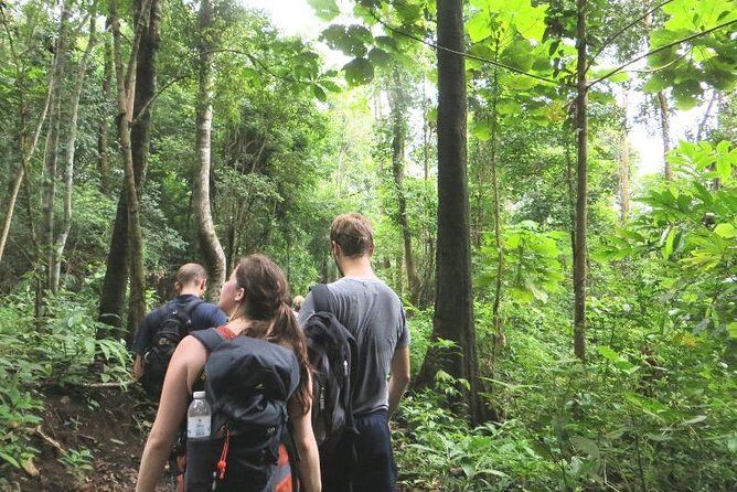 3-Day Chiang Dao Mountain Trek - Key Points