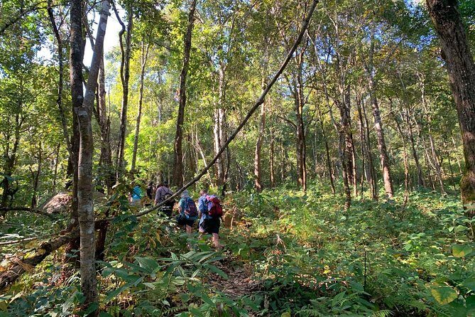 3-Day Chiang Dao Mountain Trek - What the Reviews Say: Authenticity and Challenges