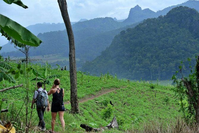 3-Day Chiang Dao Mountain Trek - Transportation, Group Size, and Value