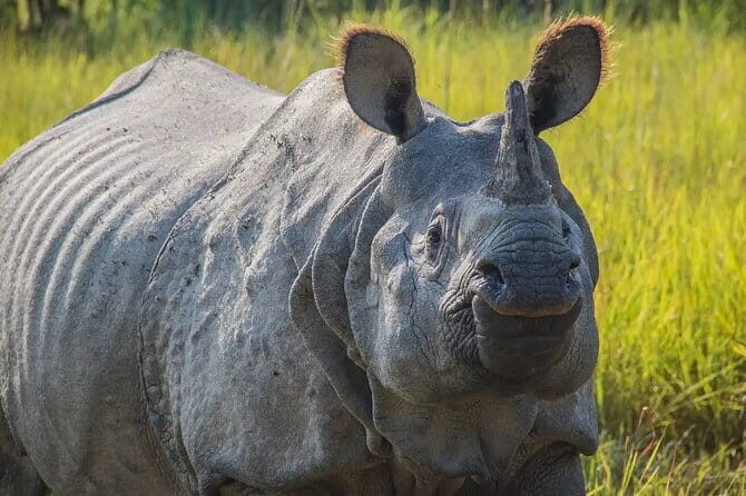 3-Day Chitwan Jungle Safari Adventure From Kathmandu - Practical Details and What It Means for You