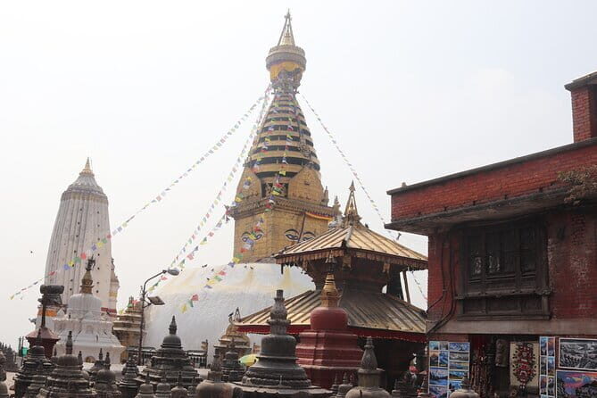 3-Day Chitwan Jungle Safari Adventure From Kathmandu - Who Should Consider This Tour?