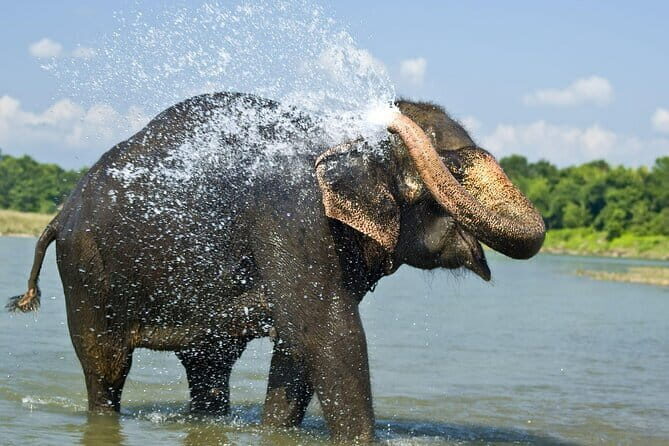 3-Day Chitwan Jungle Safari Adventure From Kathmandu - FAQ