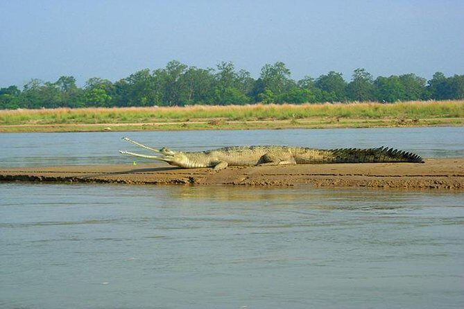 3-Day Chitwan Jungle Safari Tour from Kathmandu - Exploring the Itinerary in Detail