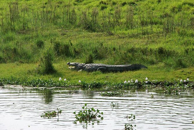 3-Day Chitwan Jungle Safari Tour from Kathmandu - Who Will Love This Tour?