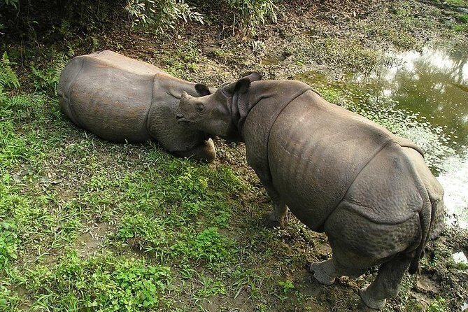 3-Day Chitwan Jungle Safari Tour from Kathmandu - Final Thoughts