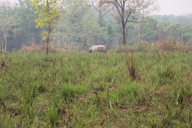 3-Day Chitwan National Park Jungle Safari Tour Package with Pick Up - The Bottom Line