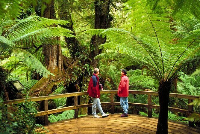 3 Day Combo: Great Ocean Road, Penguin Parade and FREE City Tour - FAQs