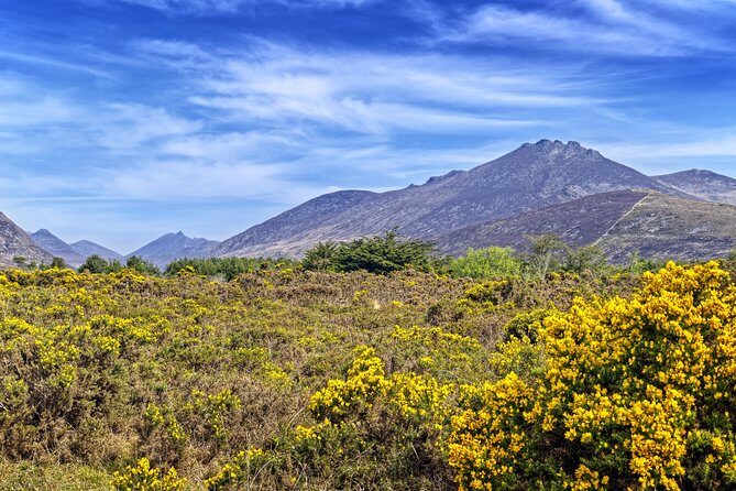 3-Day Discover Northern Ireland Small-Group Tour from Dublin - Accommodations and Food: What’s Included?