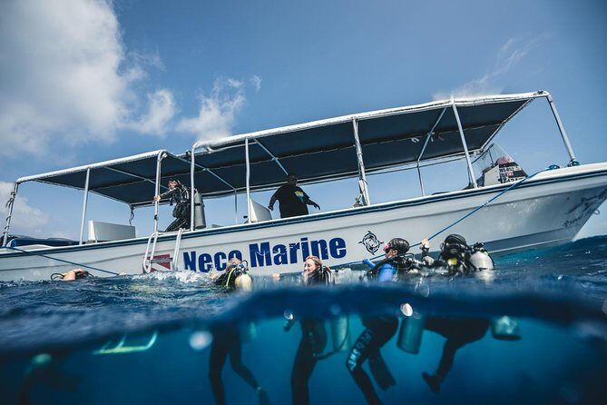 3 Day Dive Tour - Authentic Insights from Traveler Reviews