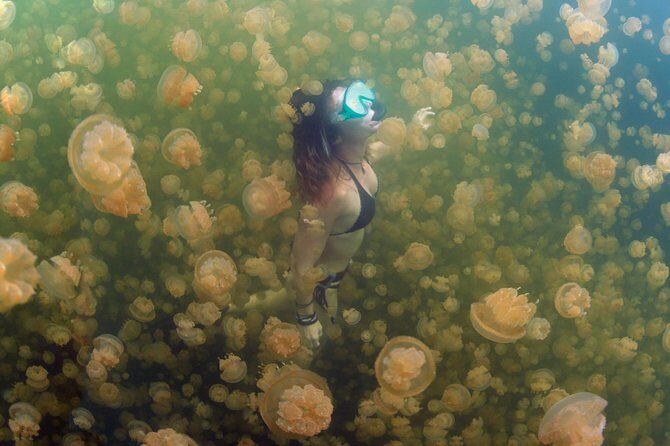 3 Day Dive Tour - The Sum Up