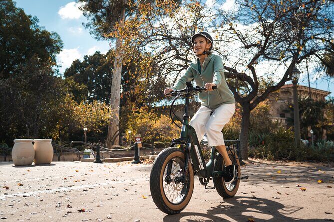 3 Day Electric Bike Rental (upto 4 Ebikes) Broward County - The Sum Up