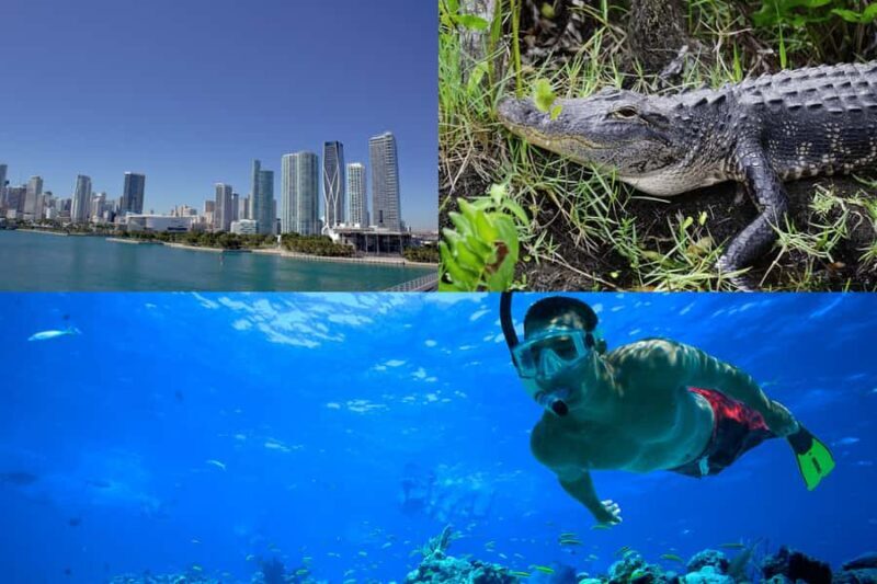 3-Day Florida Getaway: Miami, Everglades & Key West Snorkel - An Overview of the 3-Day Florida Experience
