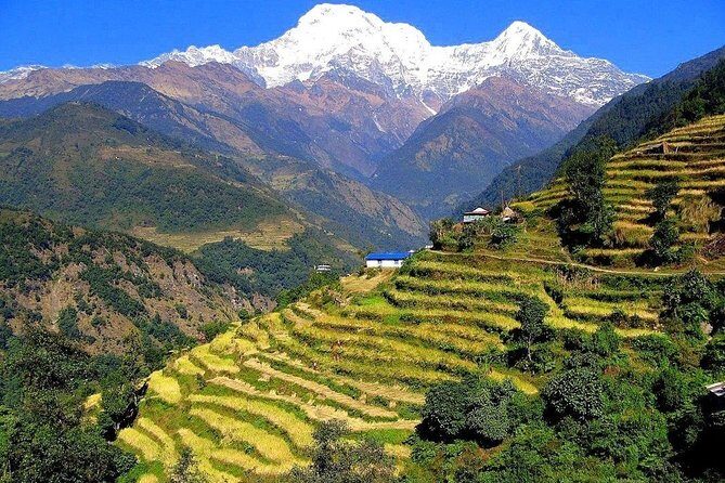 3-Day Ghandruk Loop Trek from Pokhara - Practical Considerations and Tips