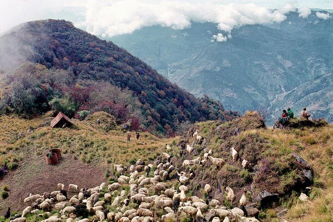 3-Day Ghandruk Loop Trek from Pokhara - What’s Included and What to Expect