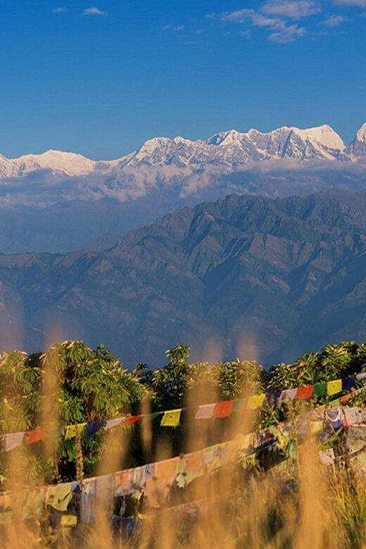 3 Day Ghorepani Poonhill Trek from Pokhara - Authentic Experience and Reviews