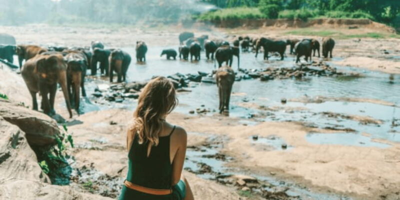 3-Day Glimpse of Sri Lanka Private Tour - FAQ