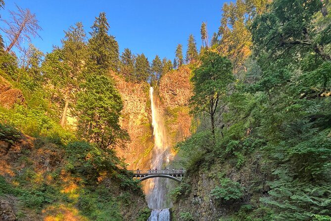 3-Day Guided E-Bike Tour Through the Columbia River Gorge - What Reviews Say