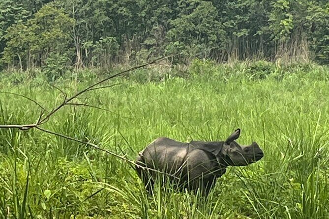 3-Day Guided Safari Tour in Chitwan National Park in Nepal - Experience Quality and Value