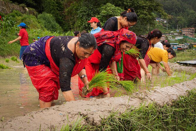 3-Day Guided Tour in Nagarkot with Ropain Festival Experience - Exploring the Heart of Nagarkot: What the Tour Offers