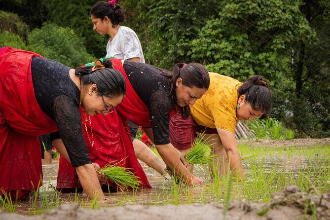3-Day Guided Tour in Nagarkot with Ropain Festival Experience - Final Thoughts: Is It Worth It?