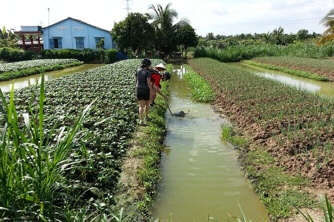 3 Day Ho Chi Minh City Multiday Bike Adventure - Who Should Consider This Tour?