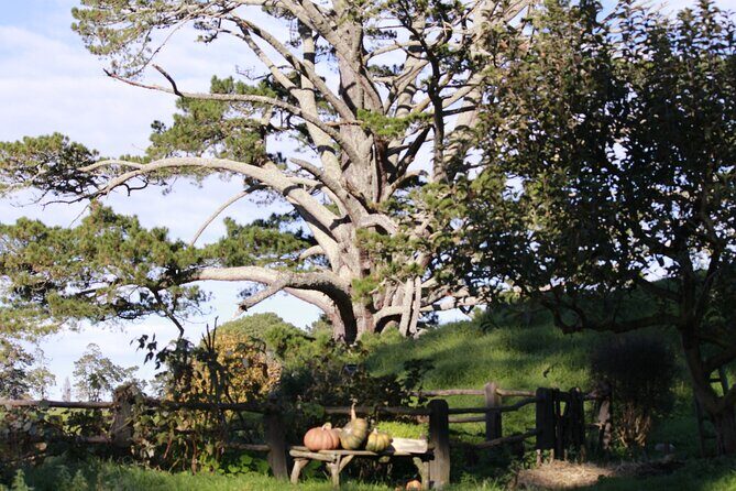 3 Day Hobbiton Rotorua Waiotapu Taupo and Waitomo Caves Tour - Key Points