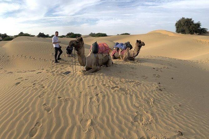 3-Day Jaisalmer Tour From Jodhpur - FAQs